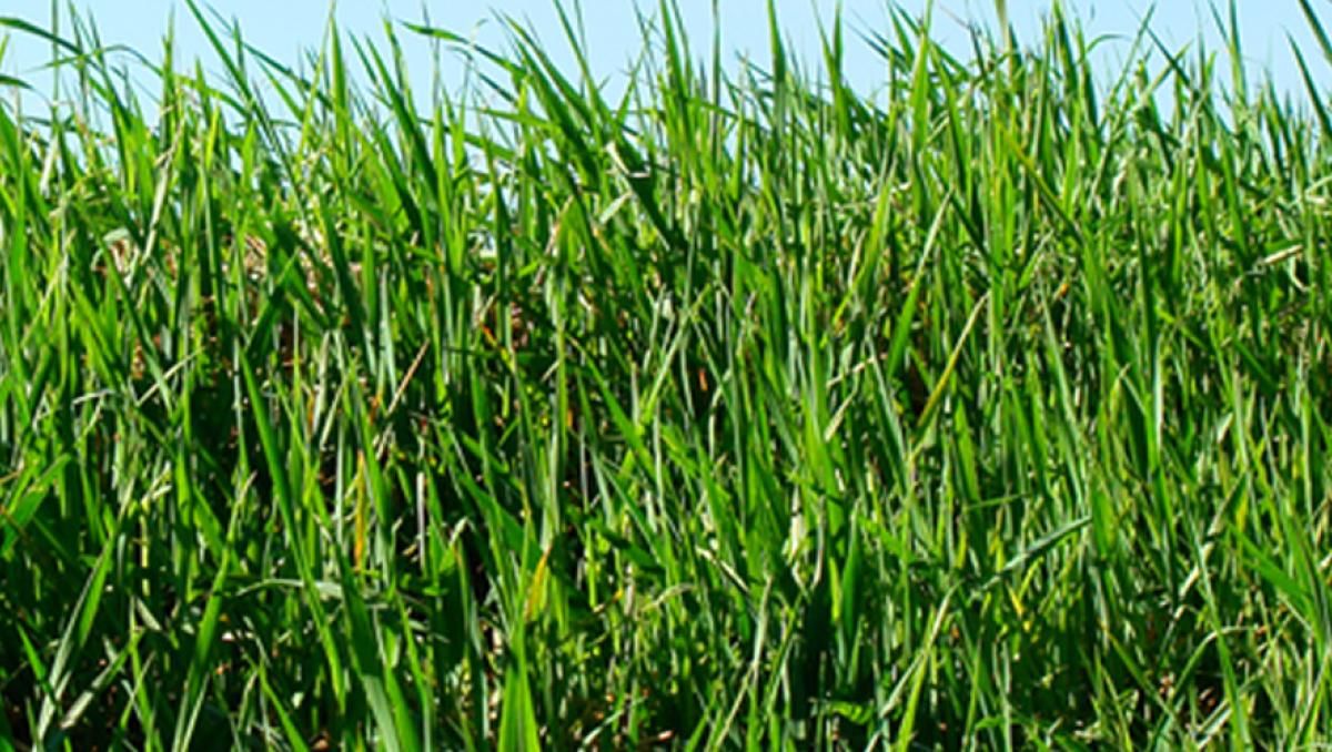 Texollini's Relies on Sequel: The Right Tool for System i Data Access ...