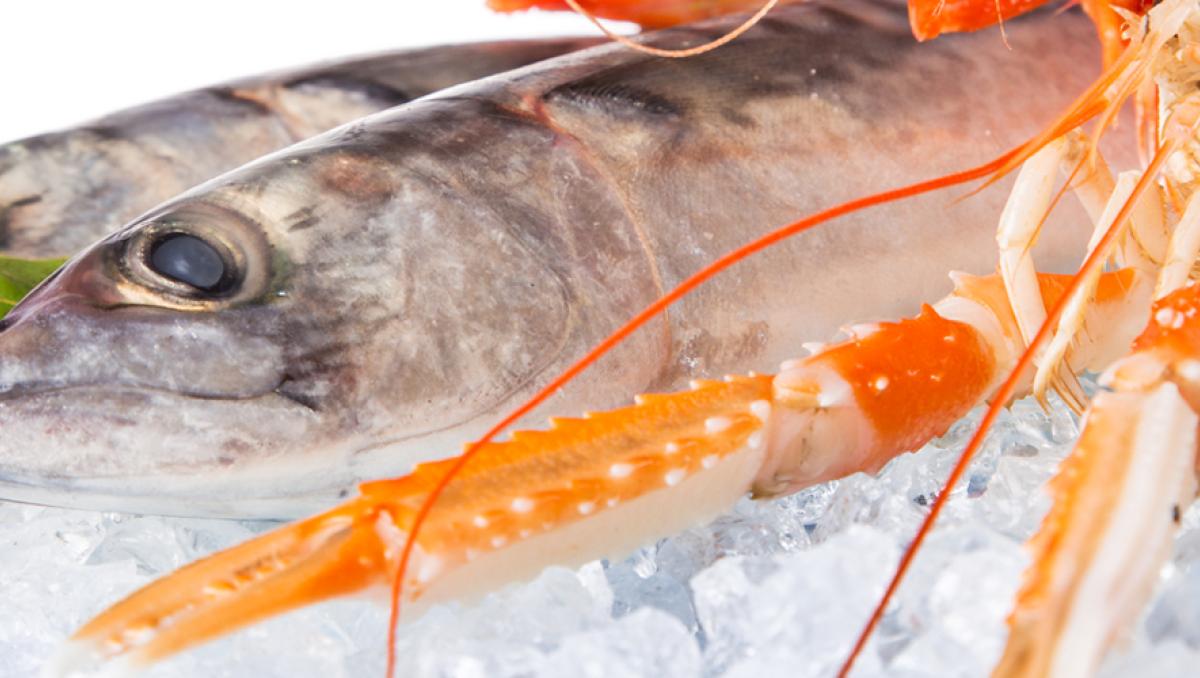 Trident Seafoods | Customer Story | Fortra